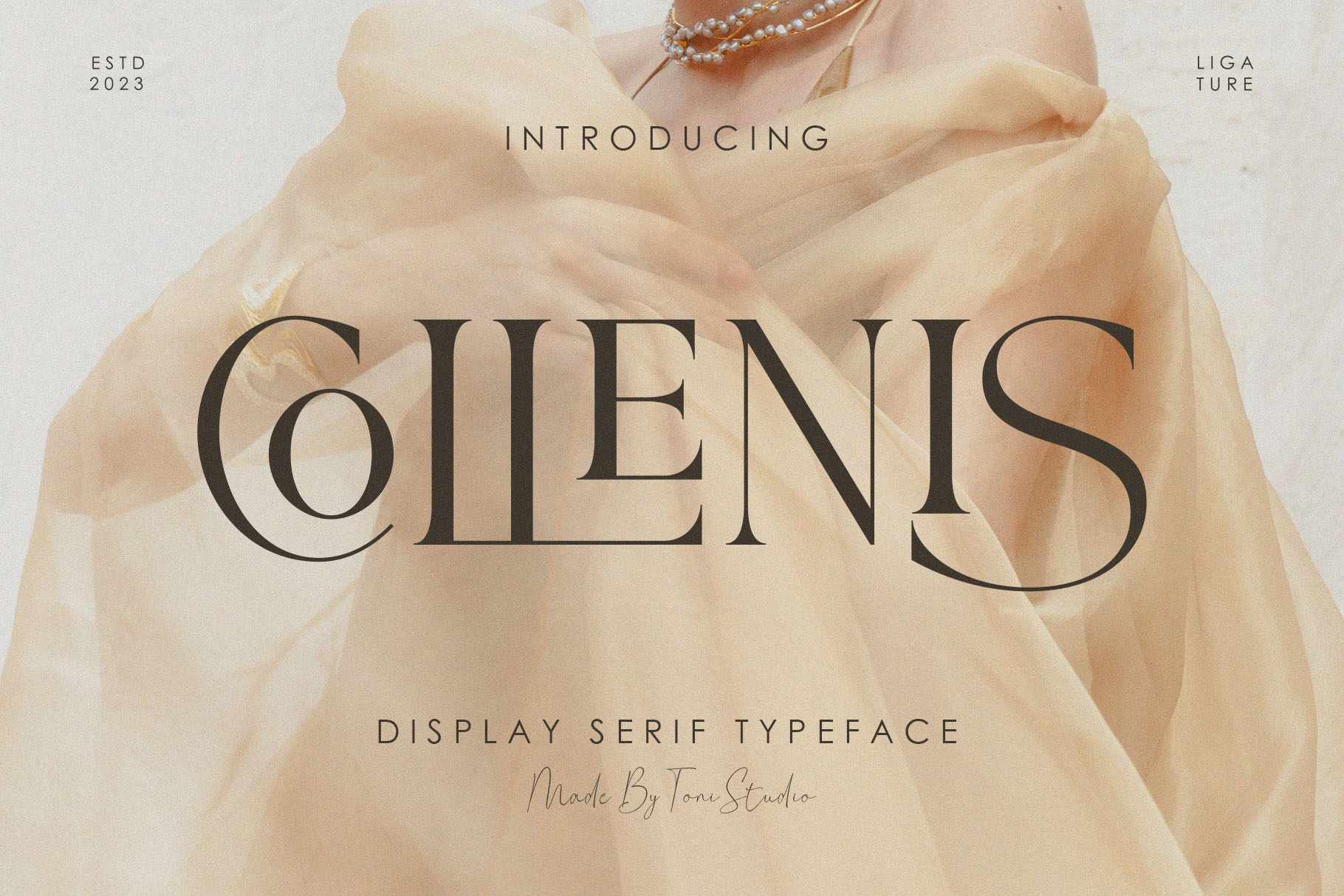 COLLENIS Font by Toni Studio