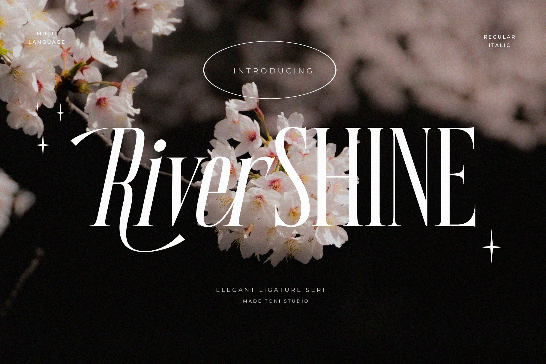 River Shine Font by Toni Studio